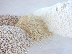 Chef Brad’s WonderFlour | Chef Brad America's Grain Guy